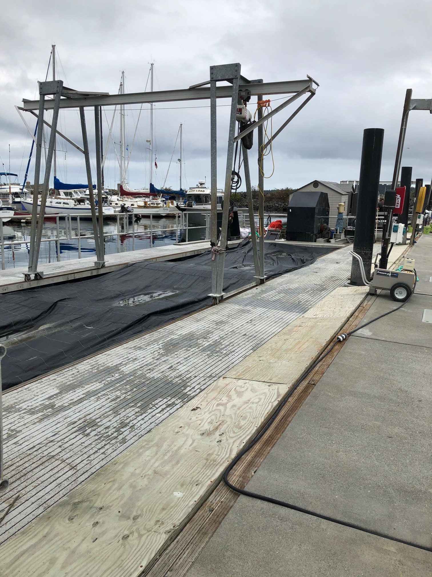 FLUPSY_0923 | Rainshadow Journal